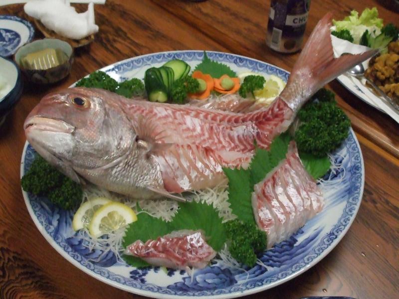 Live Food – Ippo Ippo